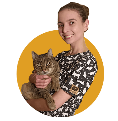 Stomatologické zákroky pro psy - jaké problémy mohou vyřešit a jak ...